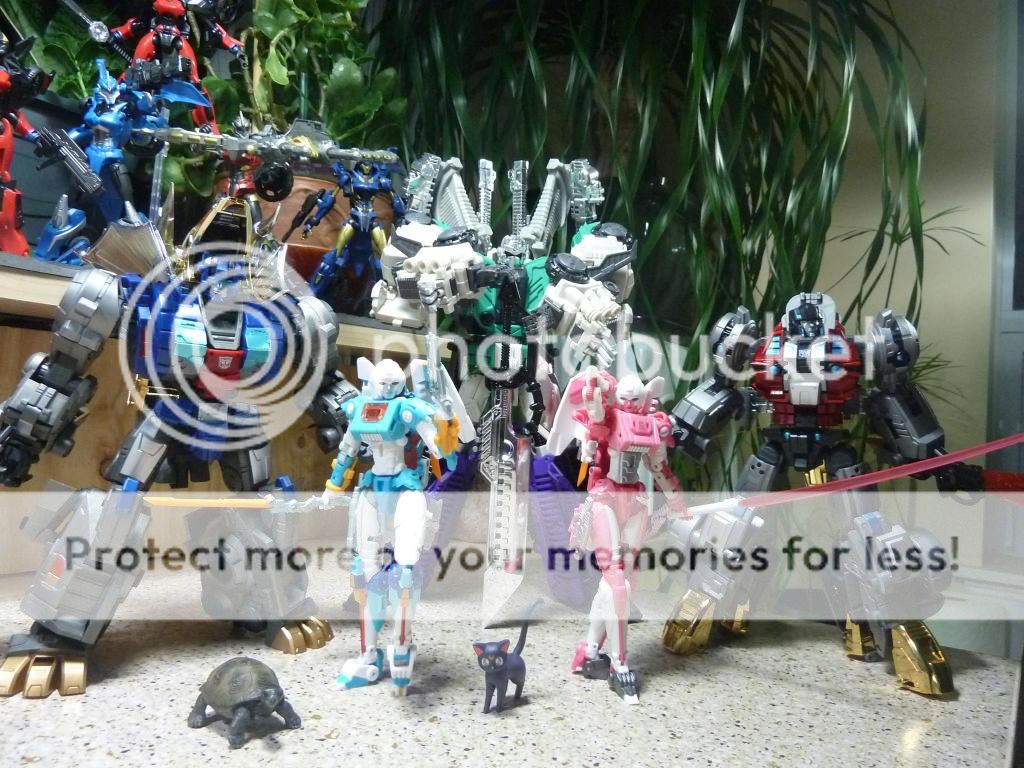 Mastermind Creations TFcon Chicago Exclusive Azalea* (Asterisk Mode ...